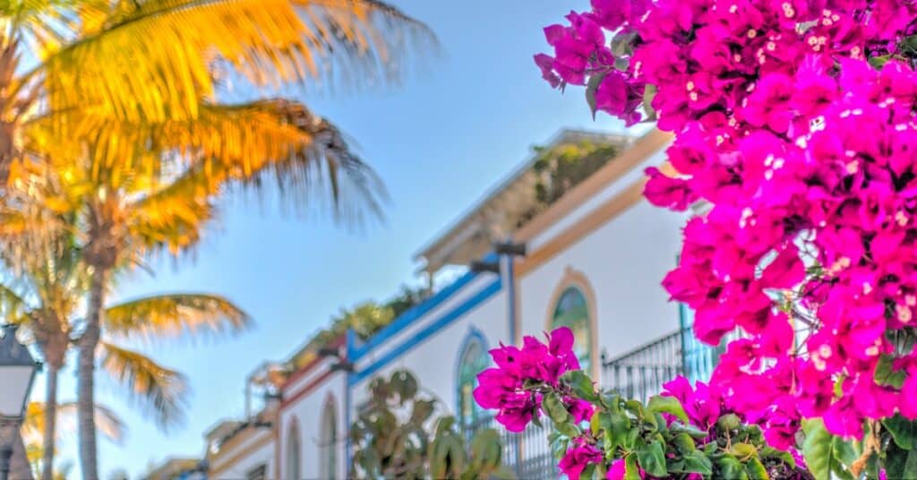 Marraskuun matkat - minne matkustaa marraskuussa? Matkapörssi